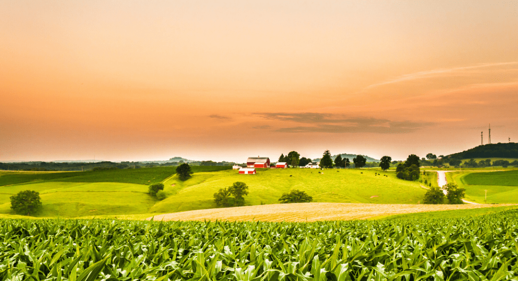 Family-Friendly Travel Destinations from Madison, WI