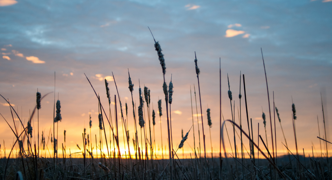 5 Places on Madison's East Side to Hike With Kids