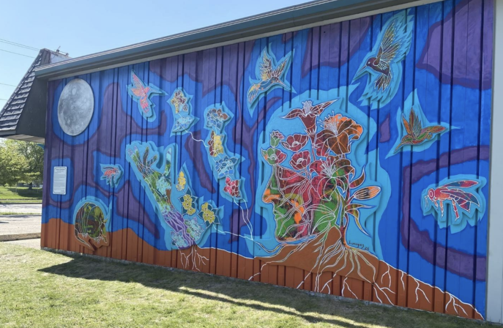WHERE TO FIND SOME OF THE BEST MURALS IN THE MADISON, WI AREA
