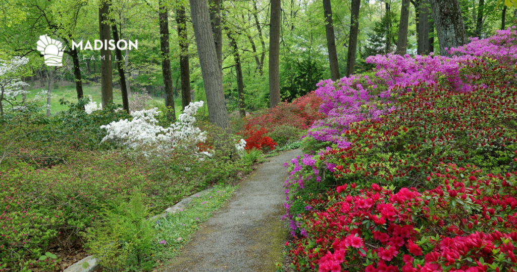 5 BEST PLACES TO HIKE WITH YOUR FAMILY ON THE EAST SIDE OF THE MADISON AREA