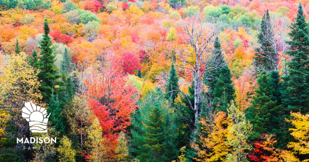 6 BEST PLACES TO SEE THE FALL LEAVES CHANGE COLORS IN THE MADISON AREA
